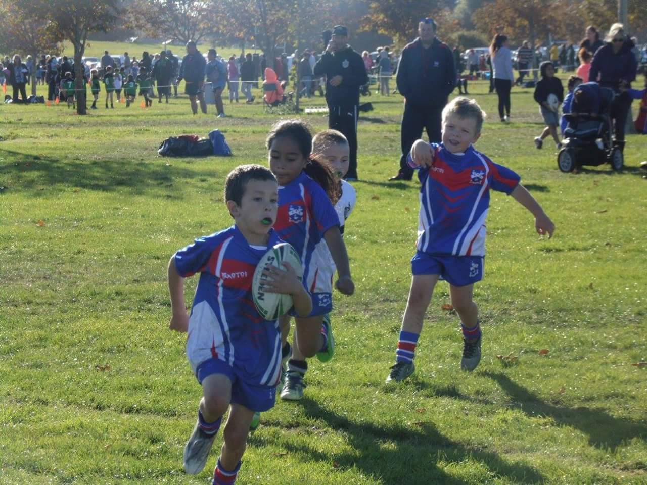 Sydenham Swans Determined To Fight On - Canterbury Rugby League – Home ...