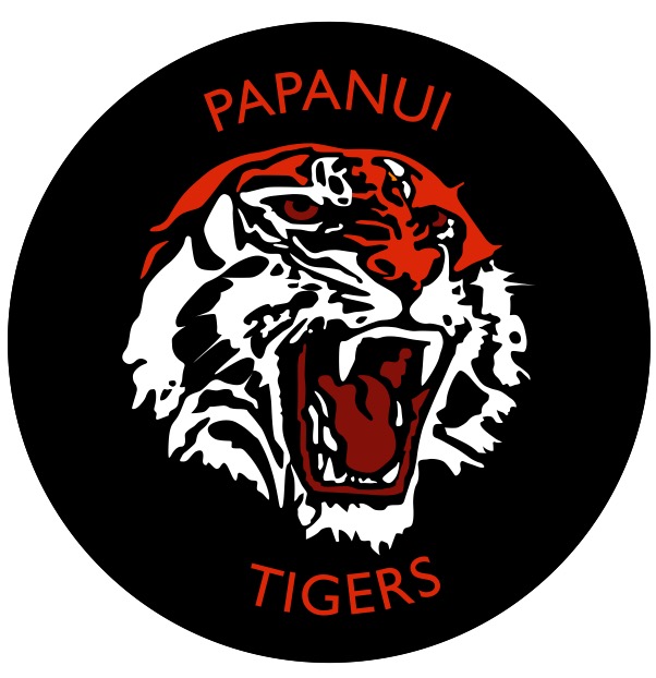 PAPANUI TIGERS' 101 REASONS TO CELEBRATE - Canterbury Rugby League ...