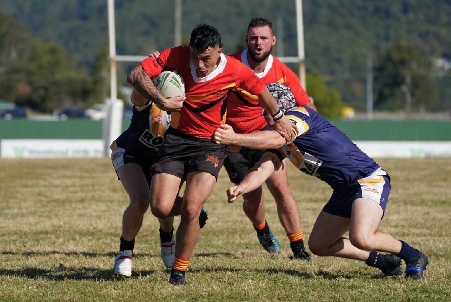 CRL CLUB PREVIEW: HORNETS TO DEFEND THACKER SHIELD ON OLD BOYS' DAY ...