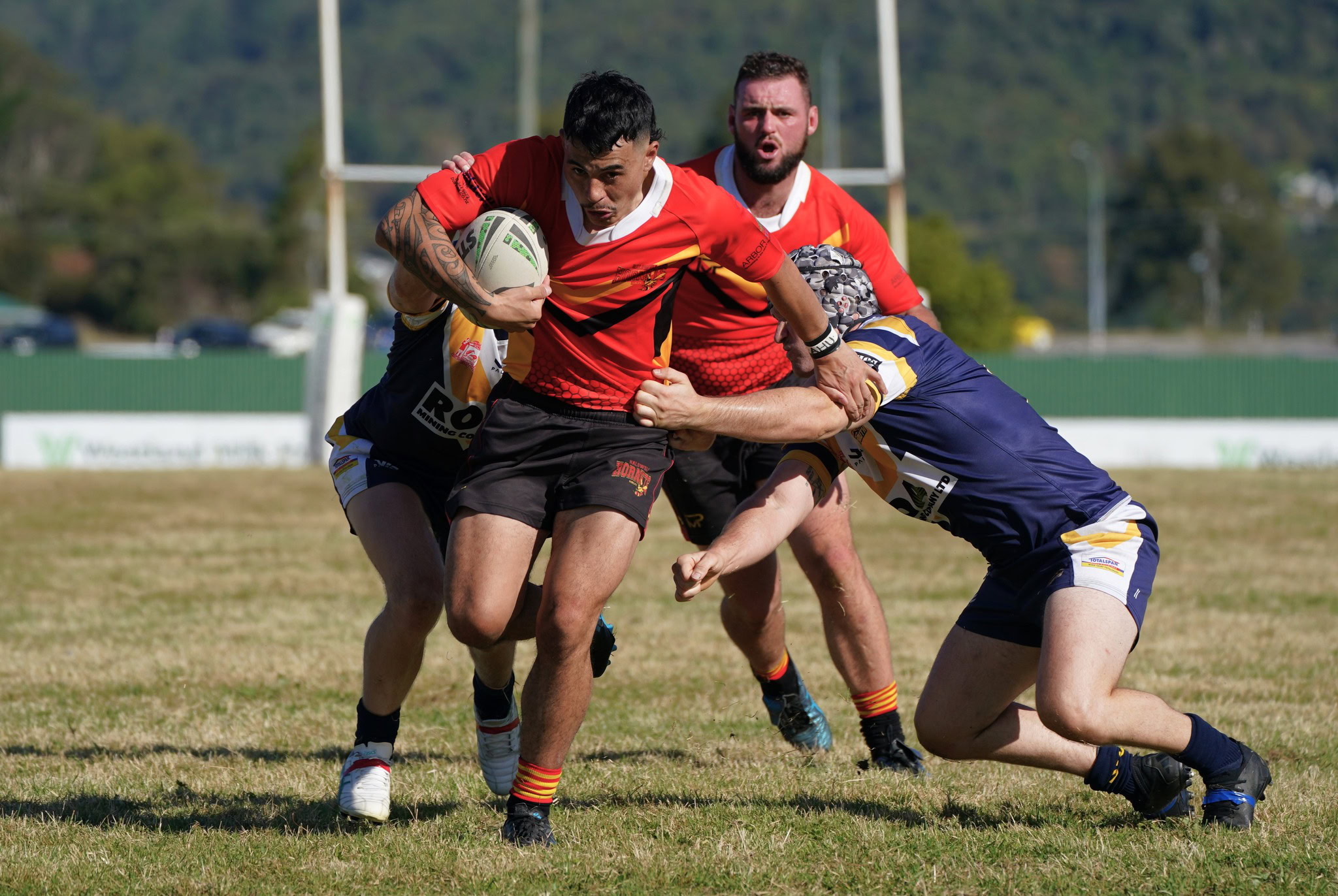 CRL CLUB PREVIEW: HORNETS TO DEFEND THACKER SHIELD ON OLD BOYS' DAY ...